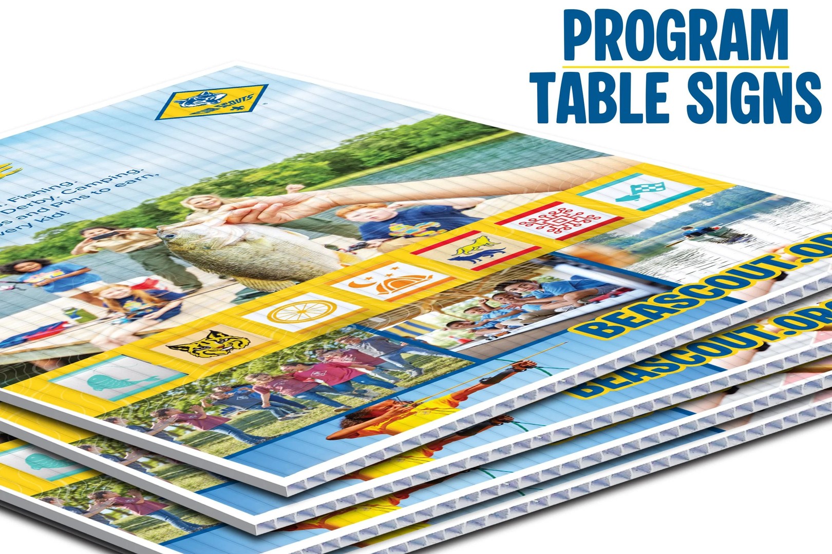 Color Shock Printing | Custom Printing & Marketing Solutions